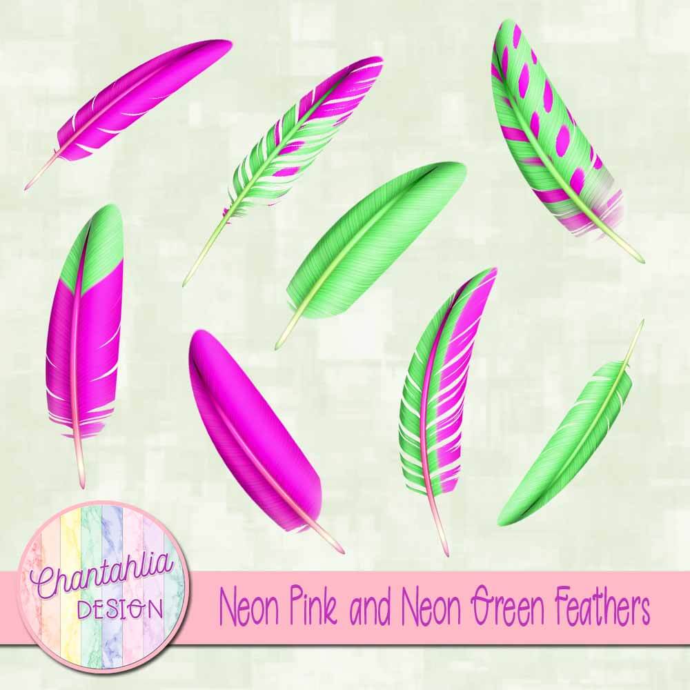 Free Neon Pink and Neon Green Feathers for Digital Scrapbooking