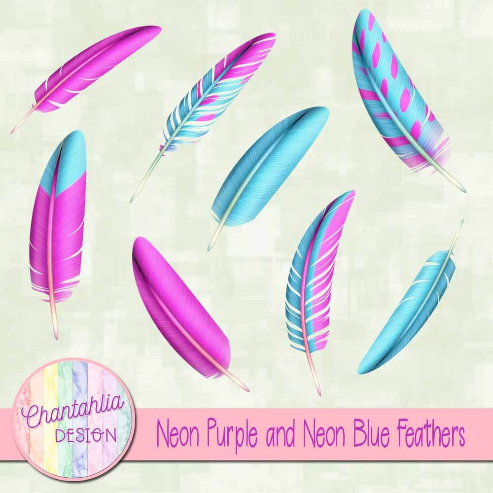 Free Neon Purple and Neon Blue Feathers for Digital Scrapbooking