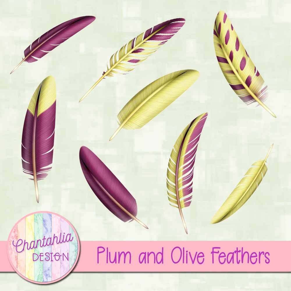 Free Plum and Olive Feathers for Digital Scrapbooking
