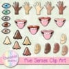 Free Five Senses Clip Art for Teaching Resources and Crafts
