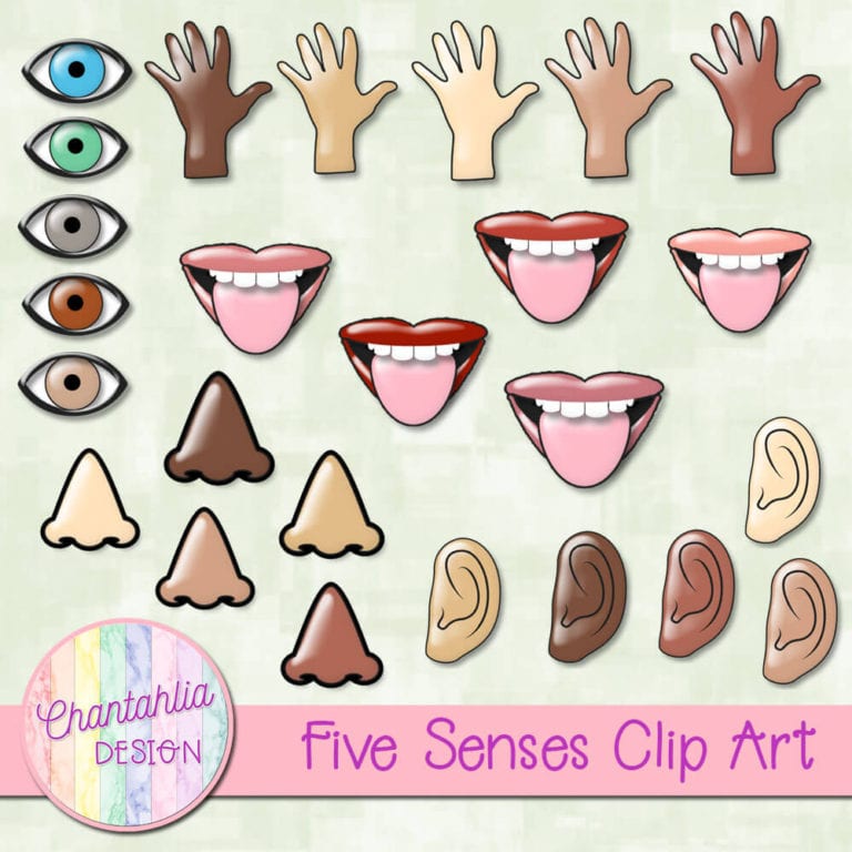 Free Five Senses Clip Art for Teaching Resources and Crafts