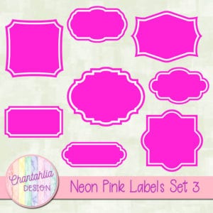 Neon Pink Labels Set 3 - Chantahlia Design