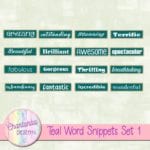 Free Word Snippets Design Elements in Teal