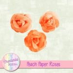 Free Peach Paper Roses Design Elements