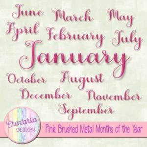 Free Pink Brushed Metal Months of the Year