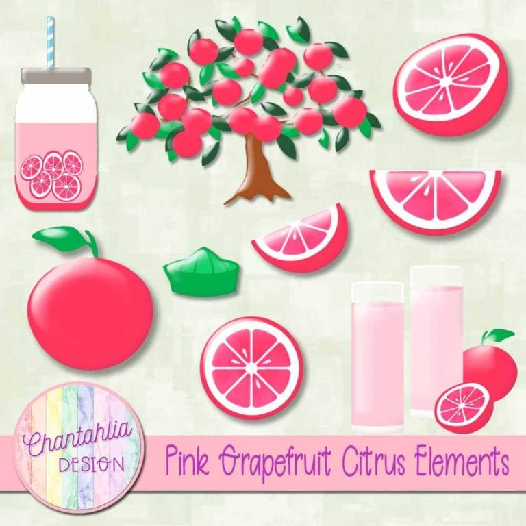 Free Pink Grapefruit Citrus Design Elements for Digital Scrapbooking