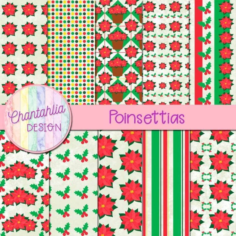 Poinsettias - Chantahlia Design