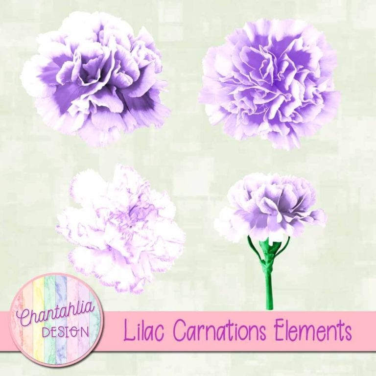 Free design elements / clip art for digital scrapbooking and other crafts