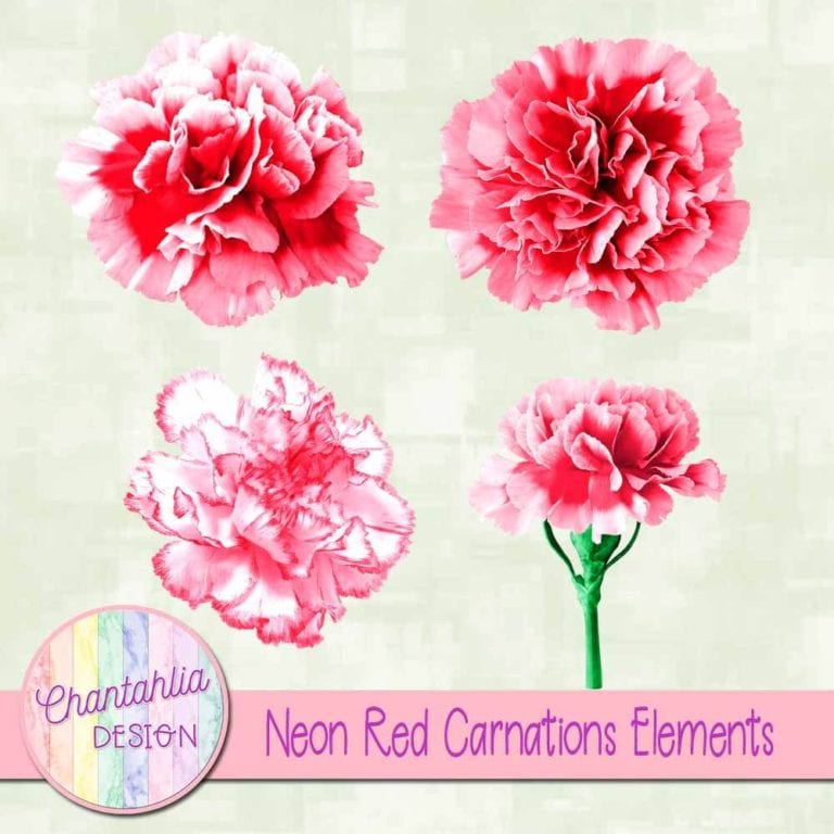 Free Neon Red Carnations Elements for Digital Scrapbooking
