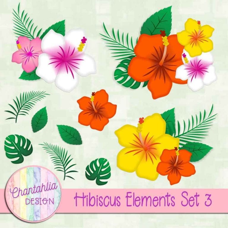 Free Hibiscus Design Elements for Digital Scrapbooking and other Crafts