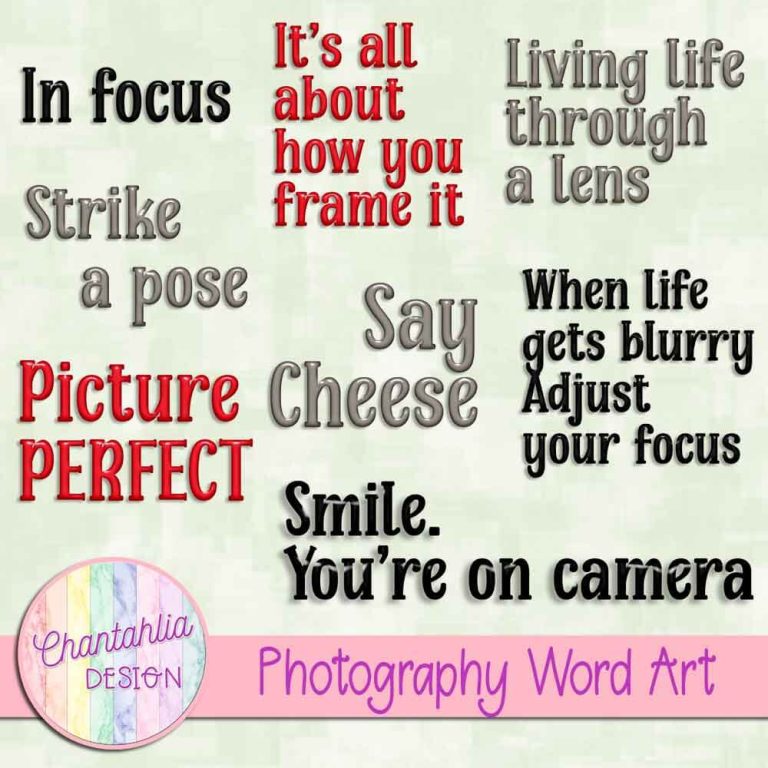 Free Word Art in a Photography Theme for Digital Scrapbooking