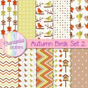 Autumn Birds Digital Papers Set 2