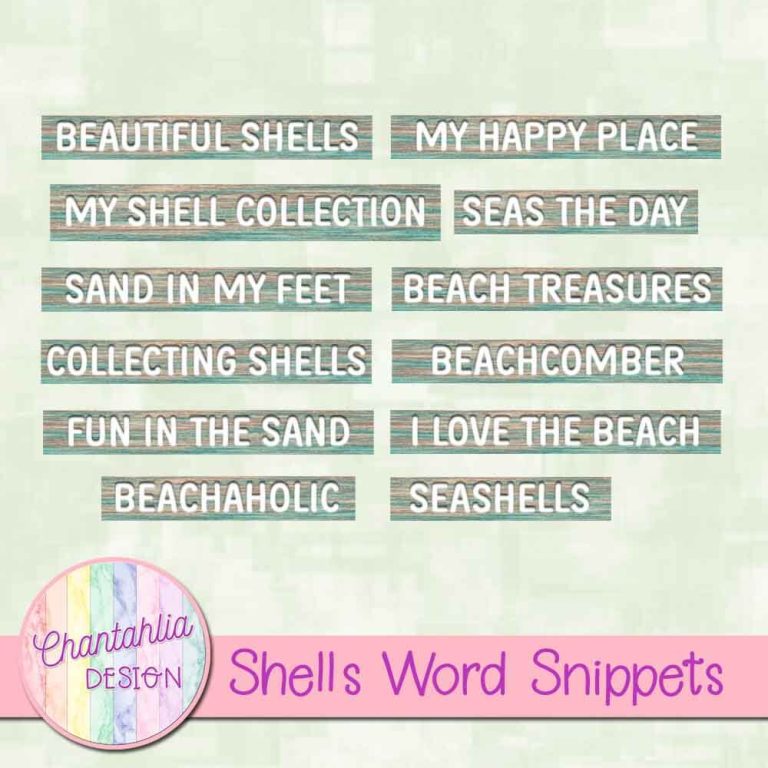 Shells Word Snippets