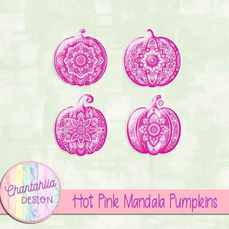 Hot Pink Mandala Pumpkins - Chantahlia Design
